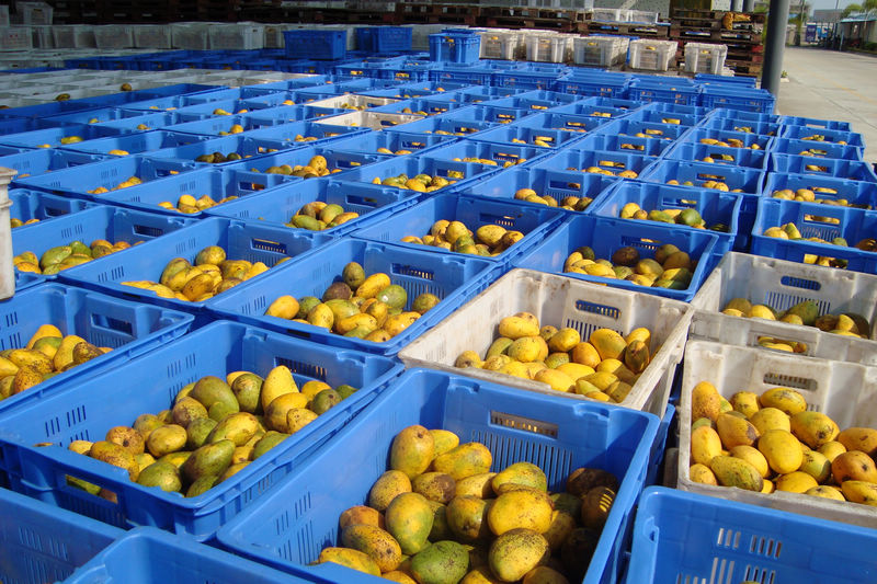 - Buy Mango Processing Plant on SHANGHAI QINGJI BEVERAGE MACHINERY CO.,LTD