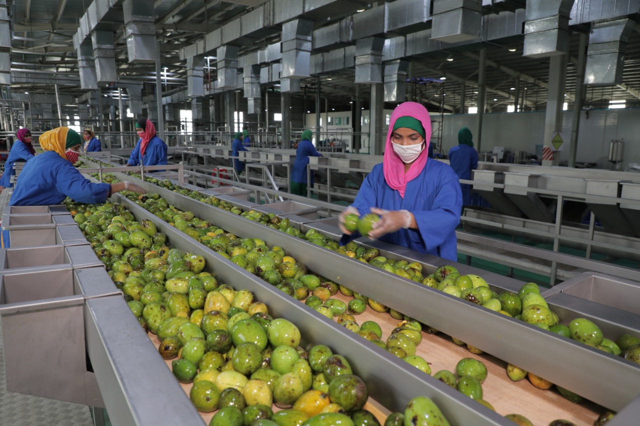 - Buy Mango Processing Plant on SHANGHAI QINGJI BEVERAGE MACHINERY CO.,LTD